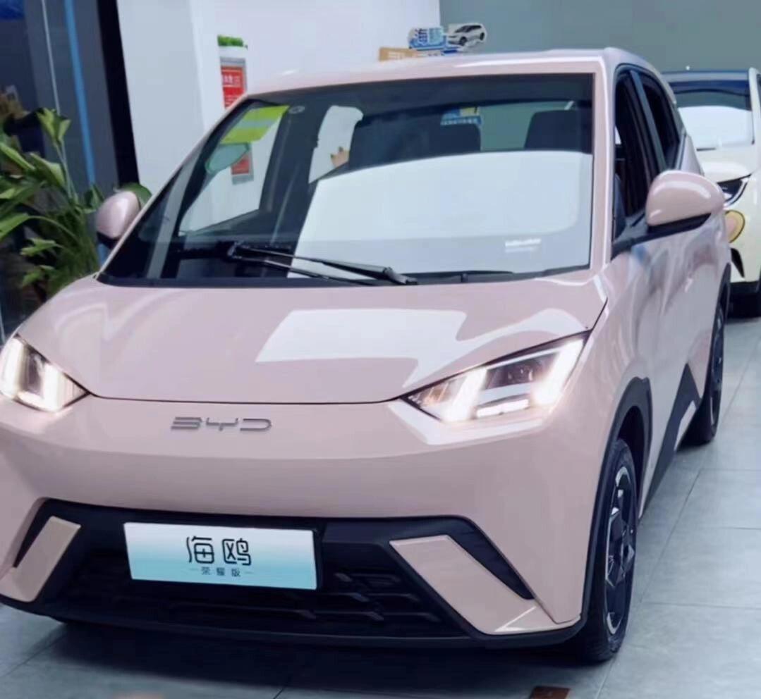 月入1200适合开裸车5 98万的海鸥吗 海鸥社区 易车社区
