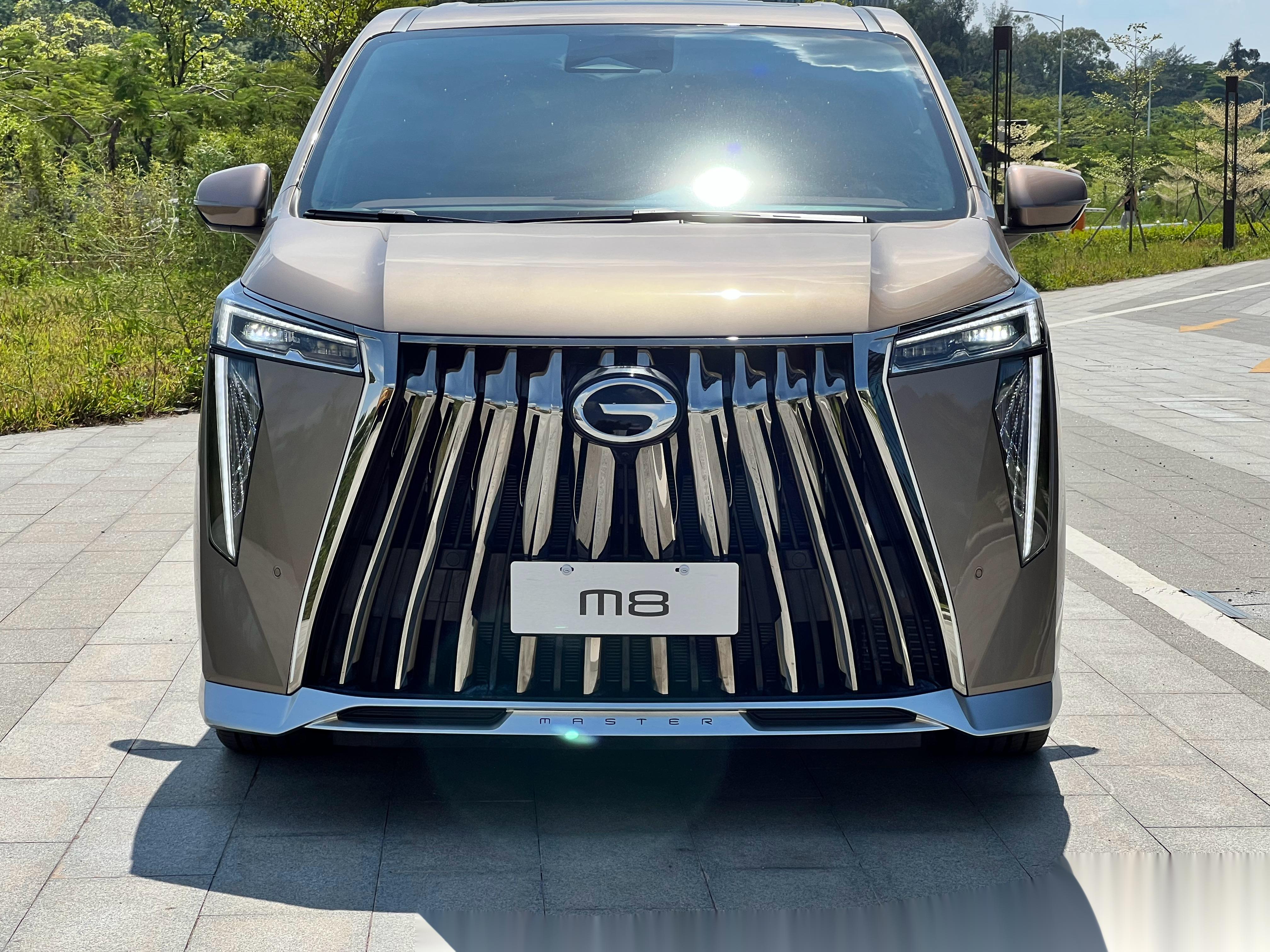 【广汽传祺传祺M8 PHEV2.0T 顶配版】报价_图片_-参数_易车
