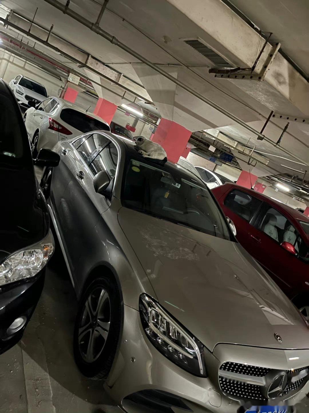 17款奔驰E300升级23P智能驾驶辅助系统，抬头显示效果分享_奔驰E级社区_易车社区