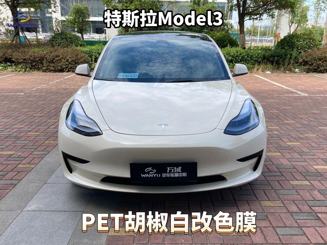 年度热门排行榜第一贴膜套装_Model 3社区_易车社区