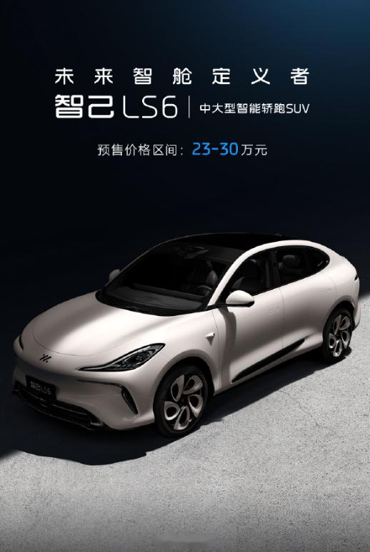 智己 LS6盲订开启 ，预售价格区间在23-30万元。 盲定权益： 1、老车主下_小鹏G6社区_易车社区