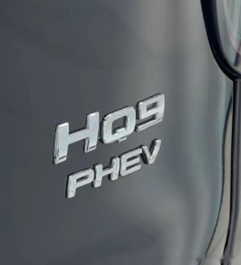 【红旗HQ9 PHEV】红旗HM9 插电混动报价,红旗HM9 插电混动图片_易车