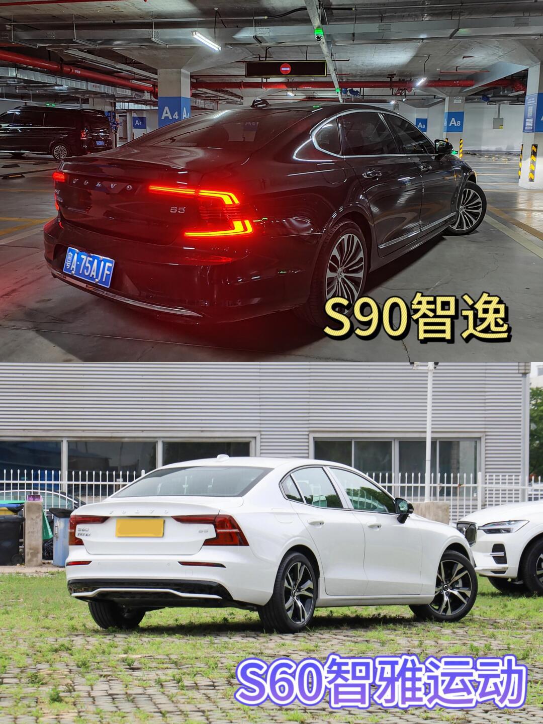 沃尔沃到底选鸡头还是凤尾？！只说不同！_沃尔沃S90/S90新能源社区_易车社区