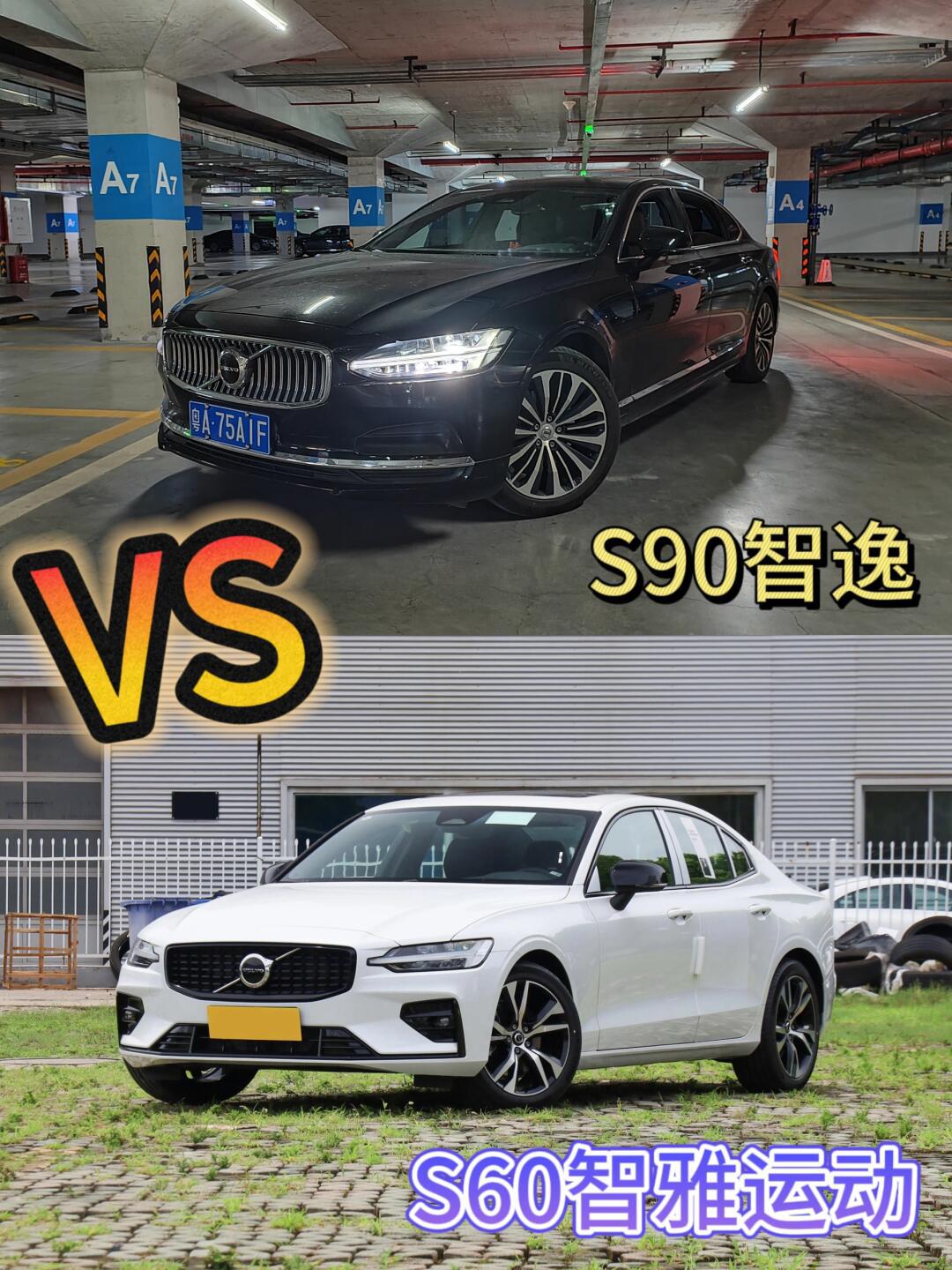 沃尔沃到底选鸡头还是凤尾？！只说不同！_沃尔沃S90/S90新能源社区_易车社区