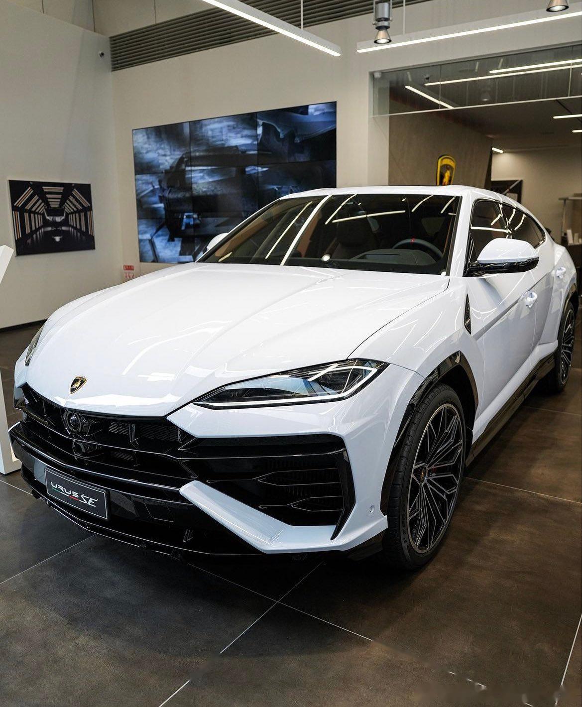 【Urus SE】URUS 插电混动报价,URUS 插电混动图片_易车