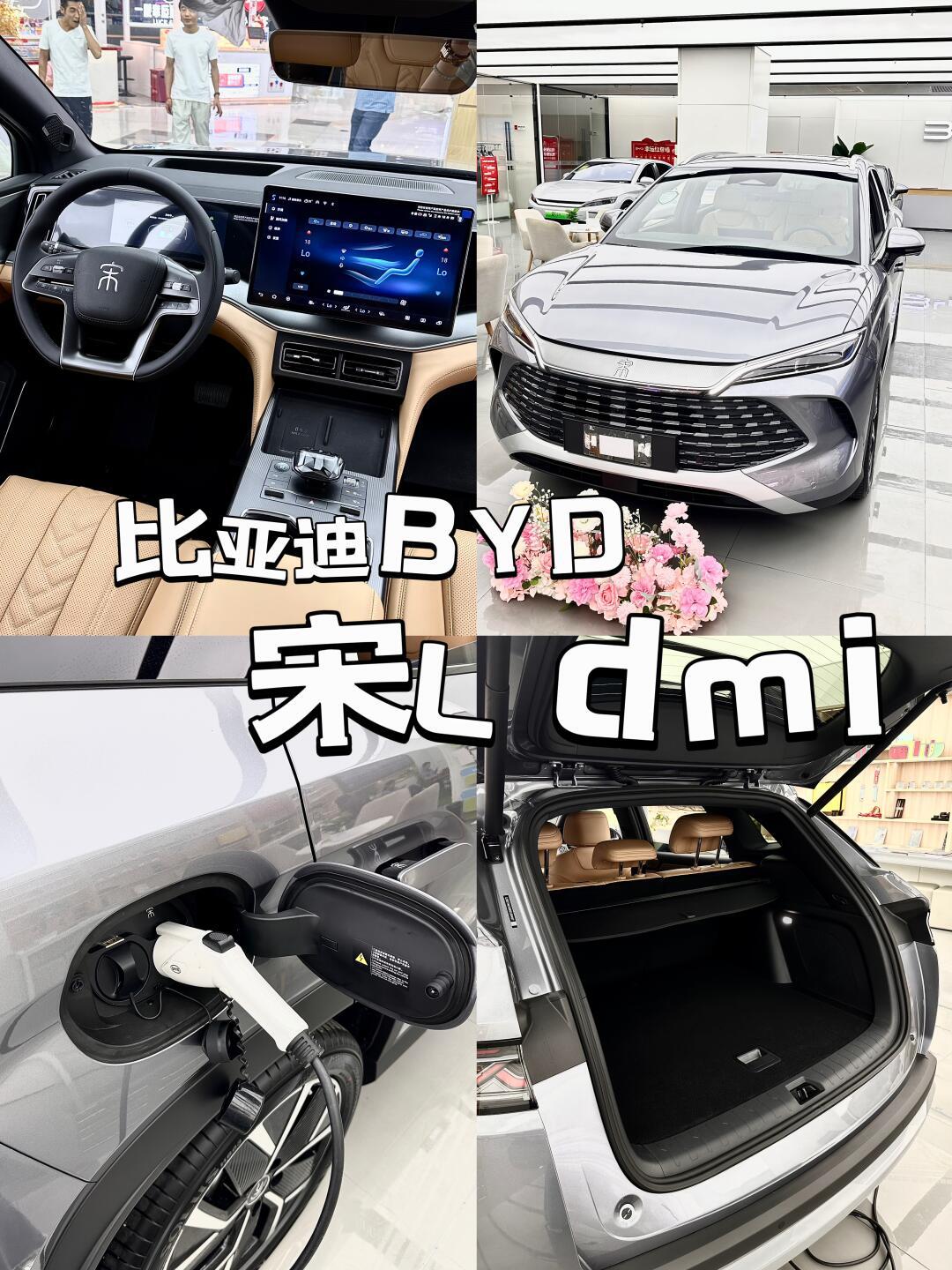宋Ldmi 已到店 震撼上市！！_宋L EV社区_易车社区