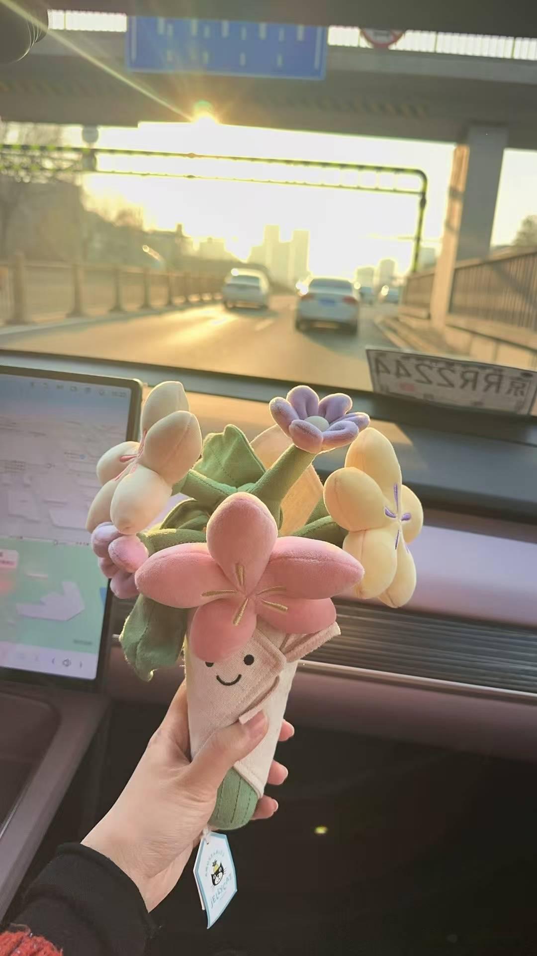 乐道L60的提车感受 乐道L60 24年12月1日，终于提到了紫内紫外的乐道L6_乐道L60社区_易车社区