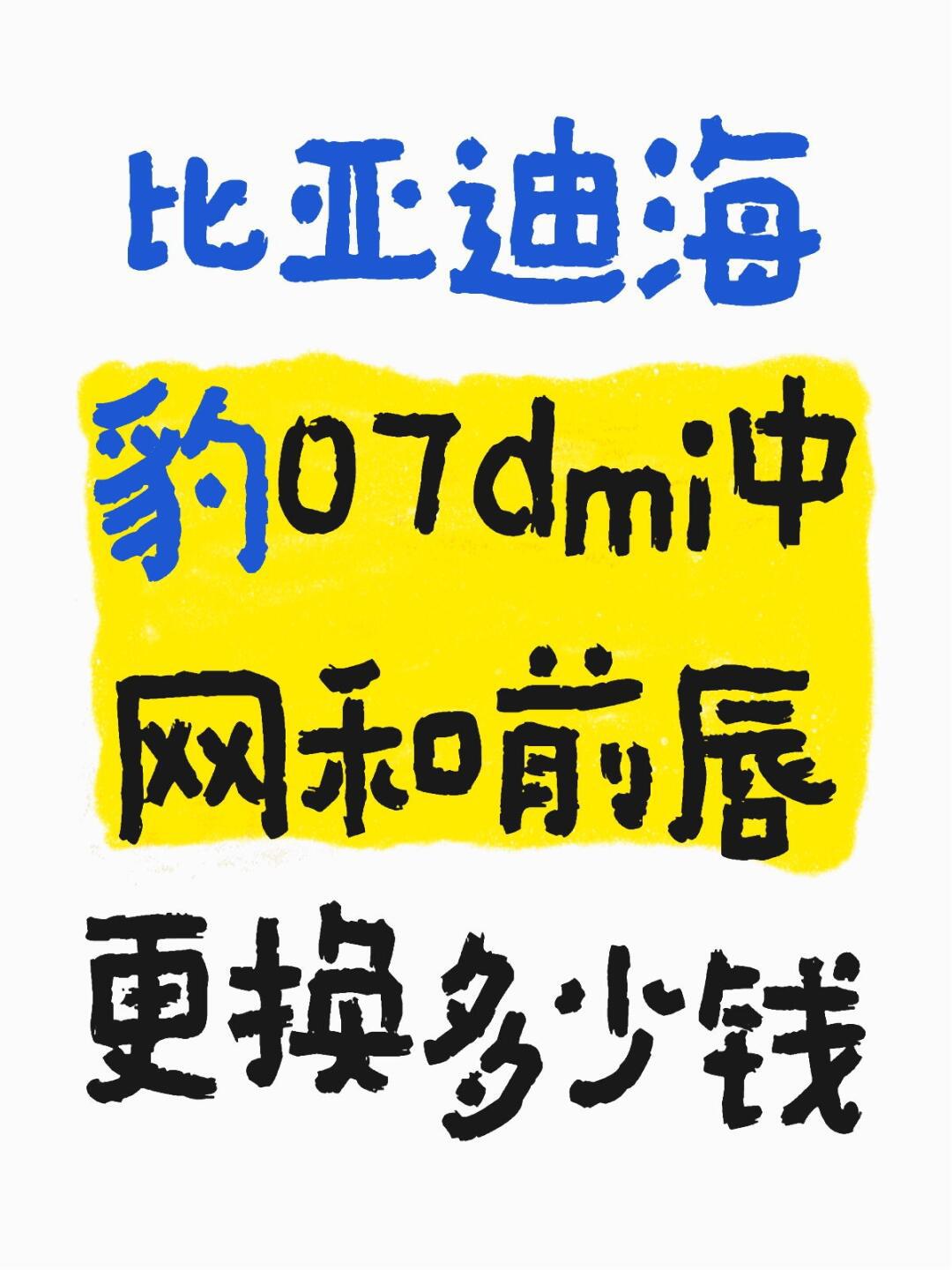 比亚迪海豹07dmi中网和前唇更换多少钱_海豹07DM-i社区_易车社区